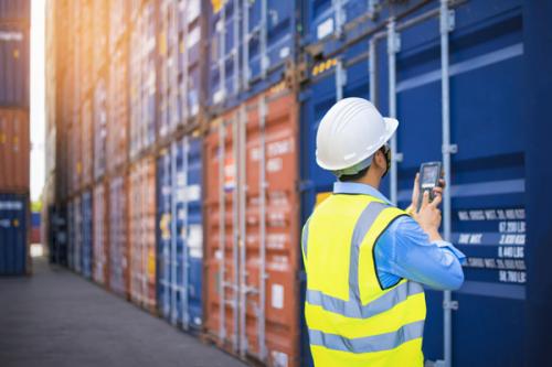 Container Inspection/ Quarantine/ Fumigation/ Scanning services